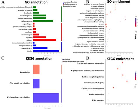 Go Annotation And Kegg Pathway Analysis Of Target Genes A And B Go