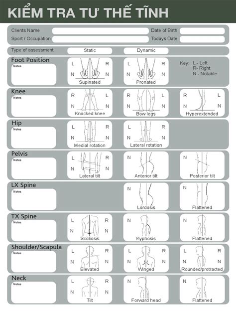 Static Assessment Download Free Pdf Musculoskeletal System