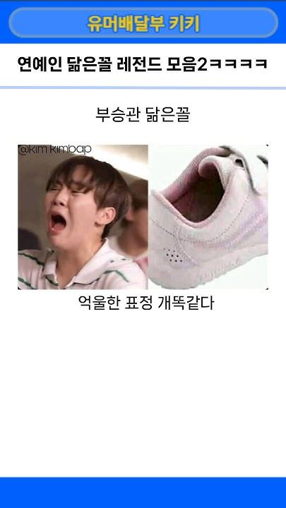 연예인 닮은꼴 레전드 모음2ㅋㅋㅋㅋ 유머 재미 Youtube