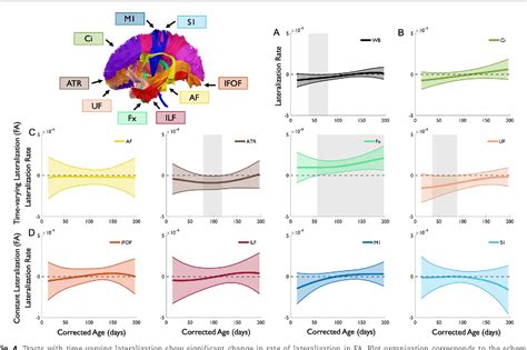 Figure 1 From Lateralization Of Major White Matter Tracts During