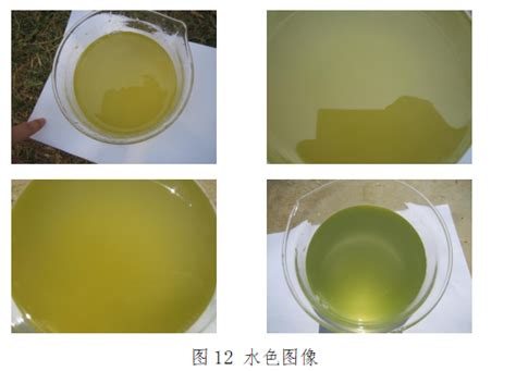 基于python实现的深度学习技术在水文水质领域应用技术 防汛抗旱决策、水资源综合利用、生态环境保护以及水利水电工程运行管理 Csdn博客