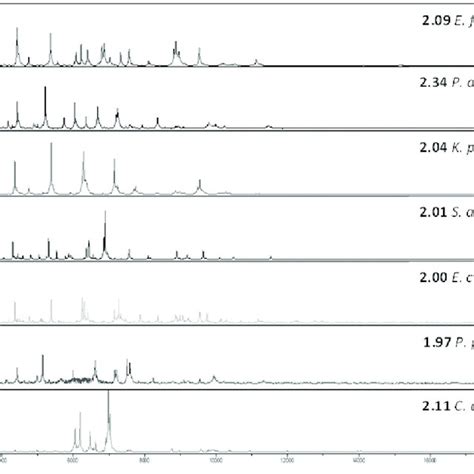 Maldi Tof Ms Spectra Of Bacteria And Yeast Captured And Eluted From