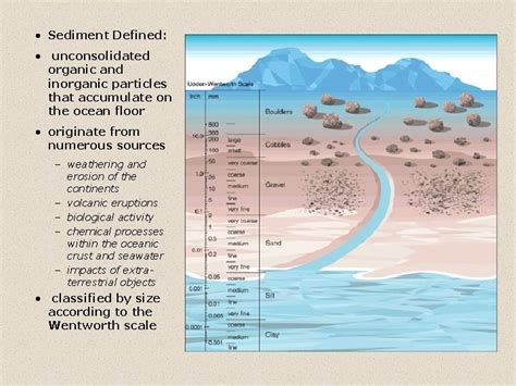 Marine Sedimentation Chapter 4 Sediment Defined Unconsolidated Organic