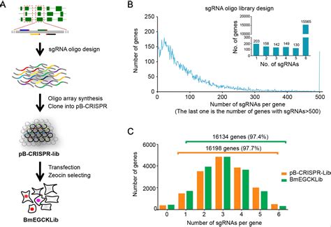 夏庆友教授团队在《genome Research》发表全基因组编辑新成果 生物学研究中心