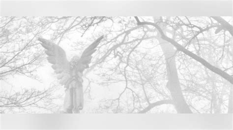 Pin By Kira Neko On Steam White In 2025 Angelcore Aesthetic Wallpaper