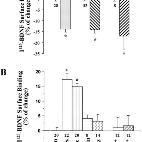 Role Of Ca²⁺ Influx In Activity Dependent Modulation Of Cell Surface Download Scientific