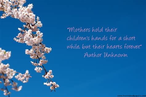 Wonderful Mothers Day Quotes Quotesgram