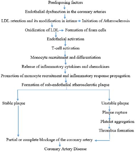 Flowchart Of Pathophysiology Of Cad Designed By Auhtors Download