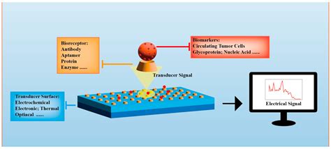 Sensors Free Full Text Application Of Biosensors In Detecting