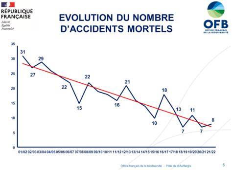Bilan Des Accidents De Chasse Saison 2021 2022 La Tendance Toujours En