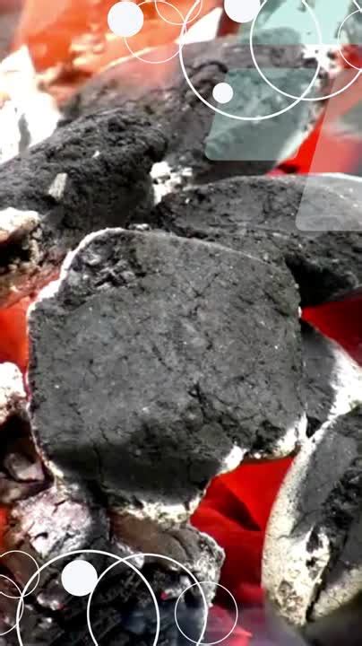 Video Facts Mania On Linkedin Interesting Facts About Coal
