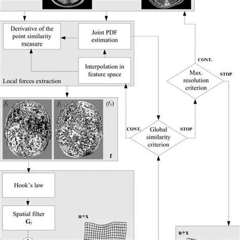 The Scheme Of The Deformable Registration Algorithm The Displacement Download Scientific