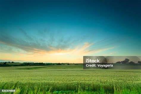 아름다운 해질녘까지 봄철 필드 들에 대한 스톡 사진 및 기타 이미지 들 여름 0명 Istock