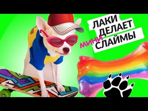 ПИТОМЦЫ ПРОТИВ МИНИ СЛАЙМОВ***КАК МЫ ДЕЛАЛИ СЛАЙМ МАГАЗИН - YouTube