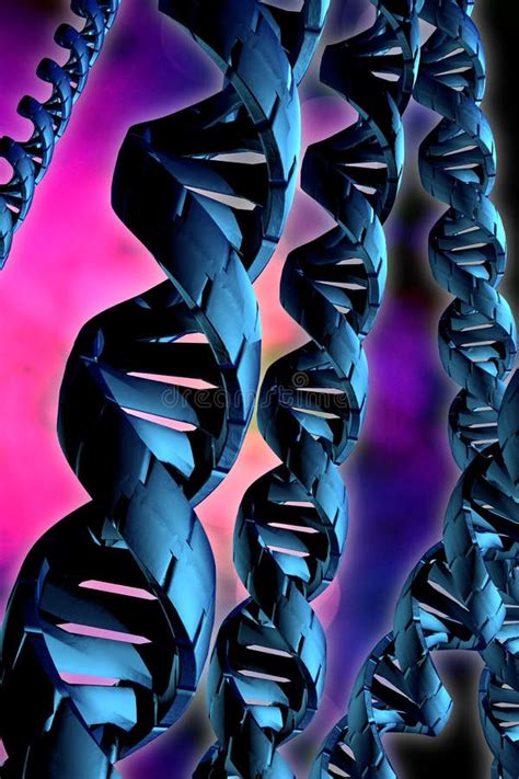 DNA Strands Stock Illustration Illustration Of Helix