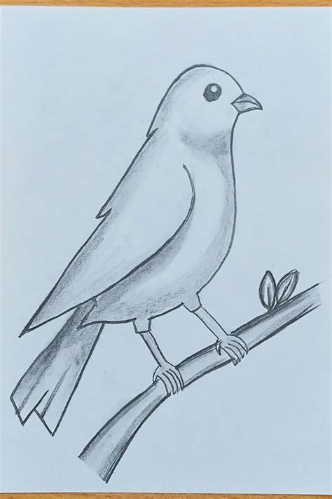 Simple Bird Drawing Tutorial