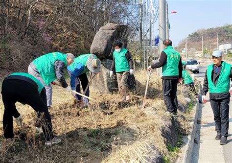 새마을운동함양군지회 연산홍 200주 식재 함양인터넷뉴스