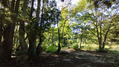 武奈ヶ岳 Popopoさんの比良山地・武奈ヶ岳・釈迦岳の活動データ Yamap ヤマップ