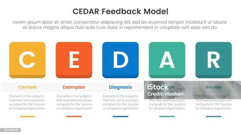 Cedar 피드백 모델 인포 그래픽 템플릿 배너 원형 사각형 상자 헤더와 원형 배지가있는 테이블 슬라이드 프리젠 테이션을위한 5 포인트 목록 정보 개발에 대한 스톡 벡터