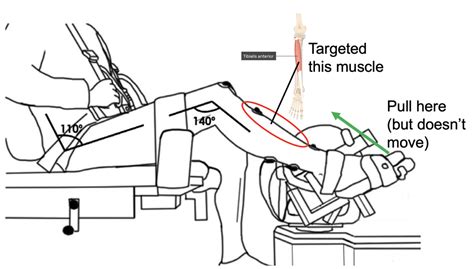 Static Strength Training For Dynamic Performance Insights From Our Lab