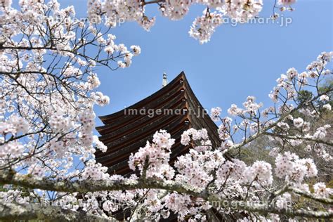 談山神社 十三重塔 奈良県桜井市の写真素材 157364454 イメージマート
