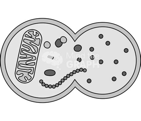 Autophagy 4
