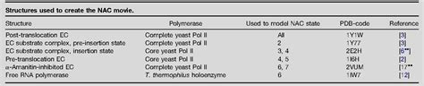 Figure 1 From A Movie Of The Rna Polymerase Nucleotide Addition Cycle Semantic Scholar