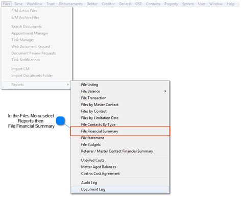 File Financial Summary