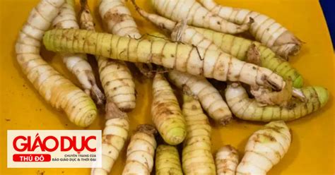 Ăn Củ Dong Có Tác Dụng Gì