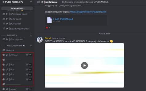 Discord Od Podstaw Mediagnoza
