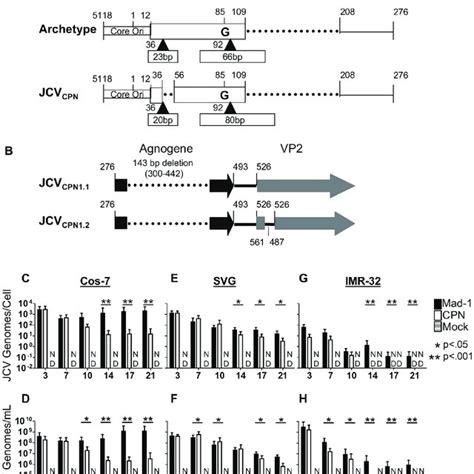 Relationship Between Urinary Jc Virus Jcv Dna Levels And Serum