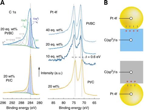 Metalsupport Interactions In Metal Oxide Supported Atomic Cluster And Nanoparticle Catalysis