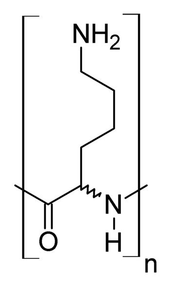 What Is The Difference Between Poly D Lysine And Poly L Lysine Pediaacom