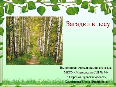 Загадки в лесу - презентация онлайн