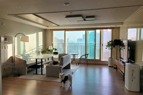 거실의 변신은 무죄 다이닝 가구의 다양한 해석법 라이프스타일 슈퍼앱 오늘의집