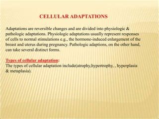 Cellular adaptations | PPT