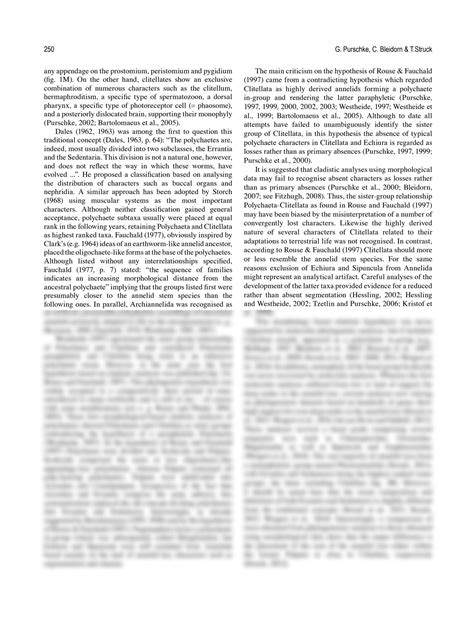 SOLUTION Systematics Evolution And Phylogeny Of Annelida A