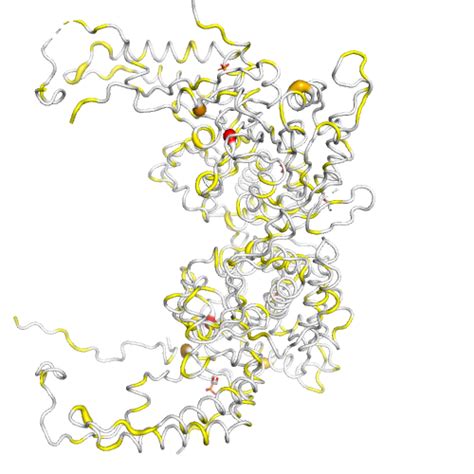Nt5c2 Gene Somatic Mutations In Cancer