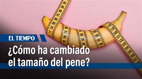 ¿el Tamaño Importa Así Ha Cambiado El Tamaño Del Pene El Tiempo