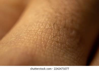 Macro Human Skin Caucasian Super Macro Stock Photo 2242471077