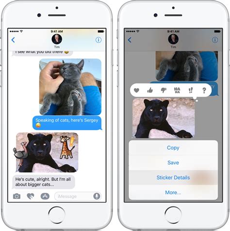 How To Use Stickers In Messages For Iphone And Ipad