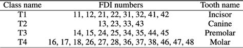 Table 1 From Mesh Segmentation For Individual Teeth Based On Two Stream Gcn With Self Attention