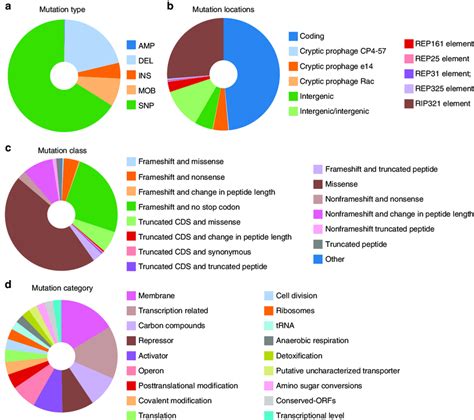 Overview Of Mutation Statistics See Supplementary Data 6 For Detailed Download Scientific