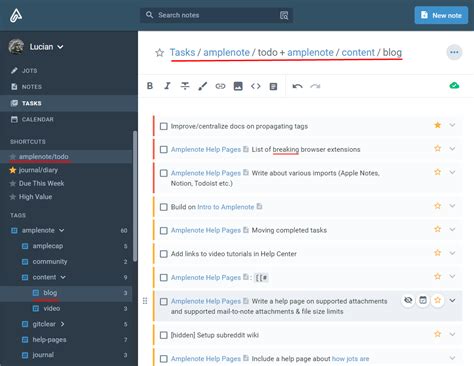 How Do Tags Work In Amplenote
