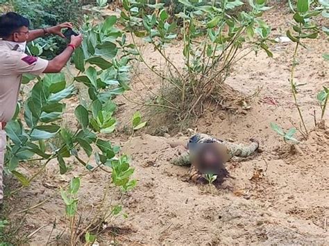 Strangled To Death With A Sardine Then Thrown On The Railway Tracks