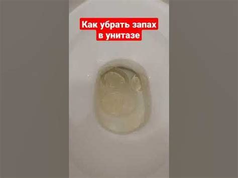 Век живи - Век учись! Как убрать запах в унитазе, мойке, раковине ...