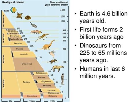 Evolution by Natural Selection - ppt download