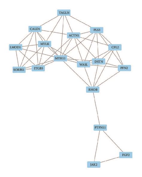 Top 6 Modules From The Protein Protein Interaction Network A Module