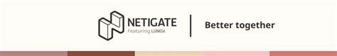 Netigate Text Analysis Linkedin