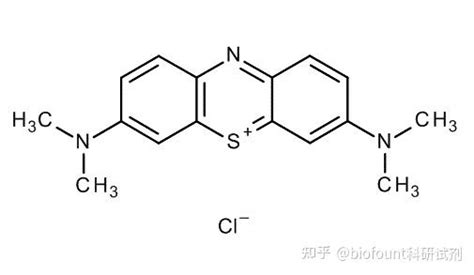 Methylene blue亚甲基蓝 知乎